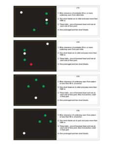 ROR Cards - Colregs Cards PDF Indian Merchant Navy